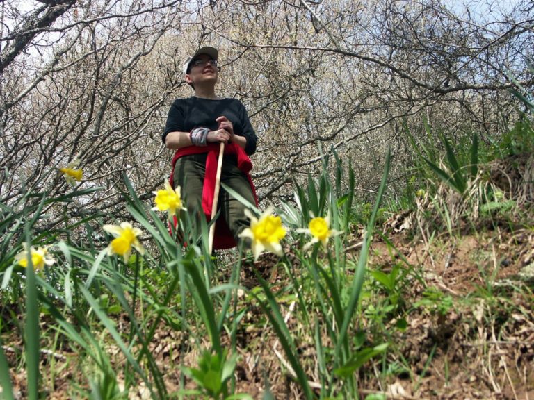 Mata del Fraile – Senda de La Pedrosa – 14.04.06 – Caminando – Blog de ...