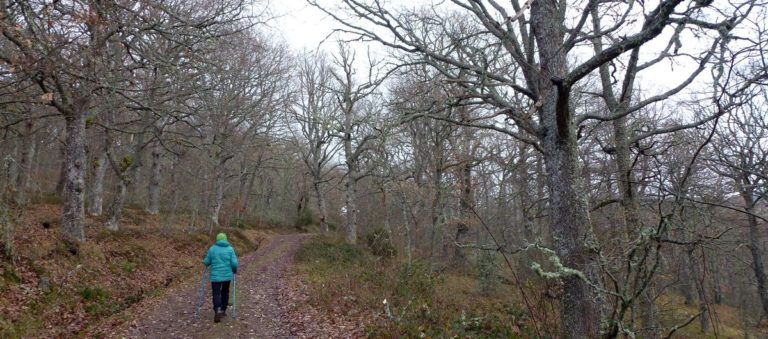 Mata del Fraile y Senda de la Pedrosa – 14.12.19 – Caminando – Blog de ...
